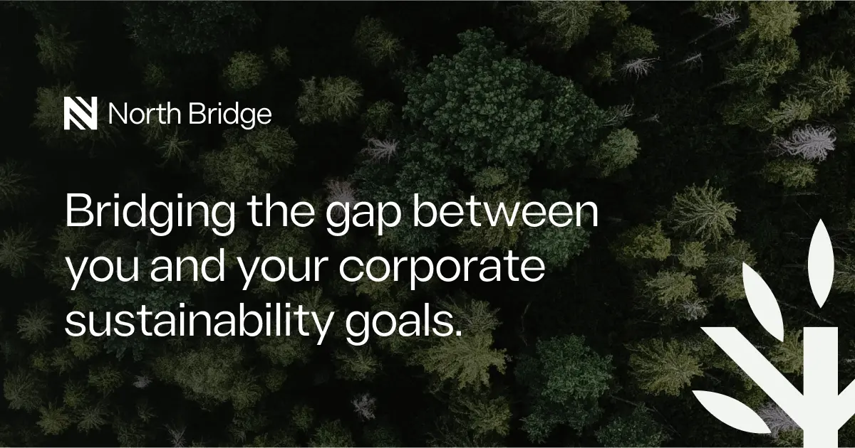 Projects | North Bridge Carbon