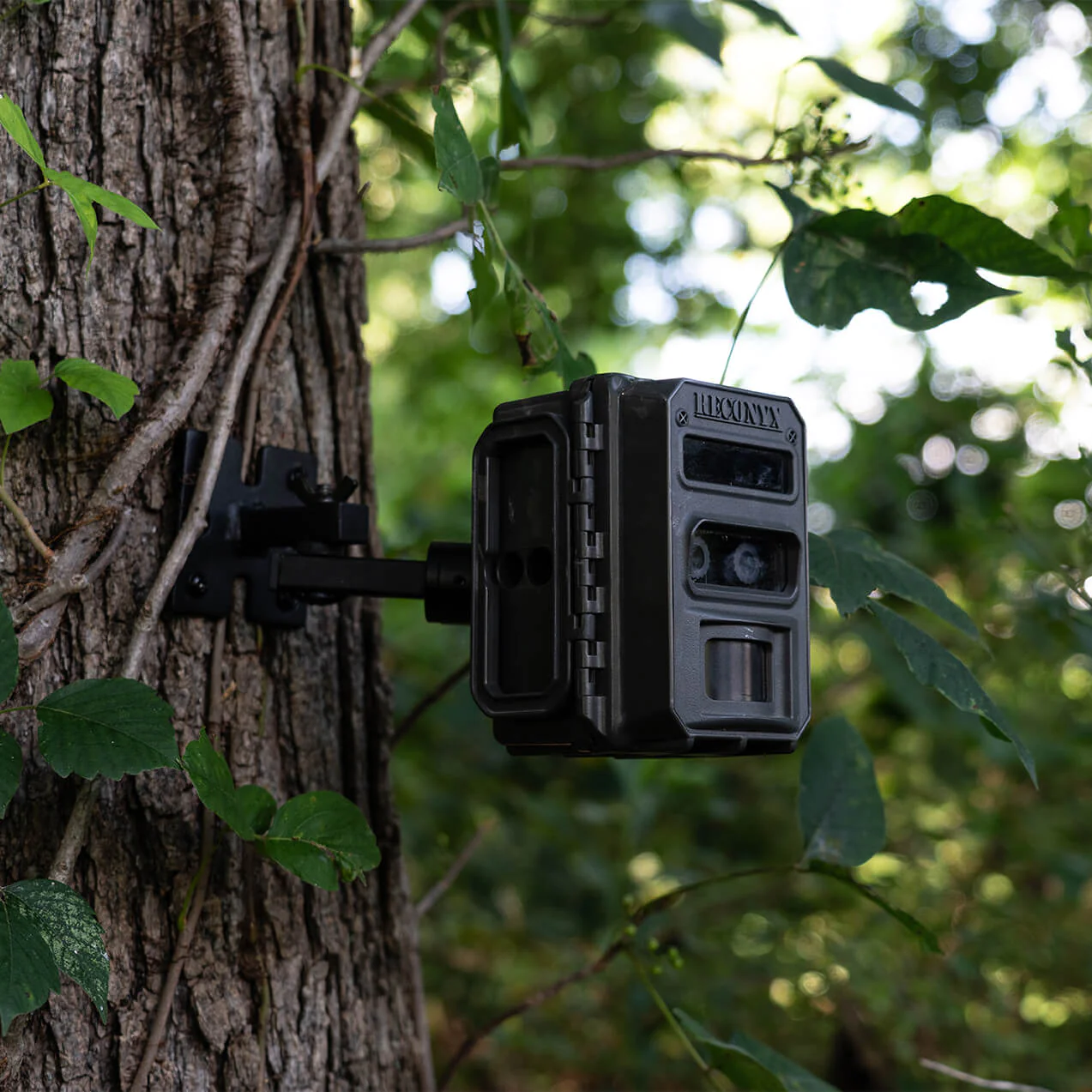 MULTI-PURPOSE CAMERA MOUNT | Blinds, Blind Stands and Accessories ...
