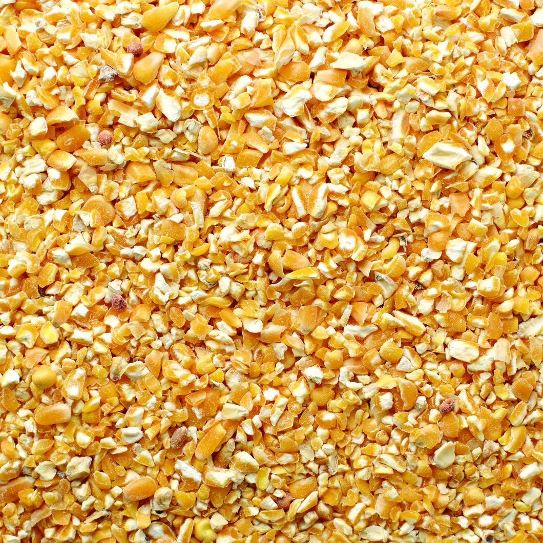 Corn | Deer Feed | Jade Seed & Outdoor Supply
