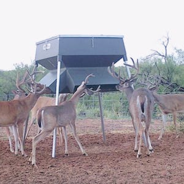 1,250lb Stand & Fill™ Protein Feeder with Skid | Feeders | Jade Seed ...