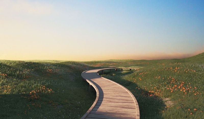 Landscape Renderings: 9 Best Software for Architectural Designers