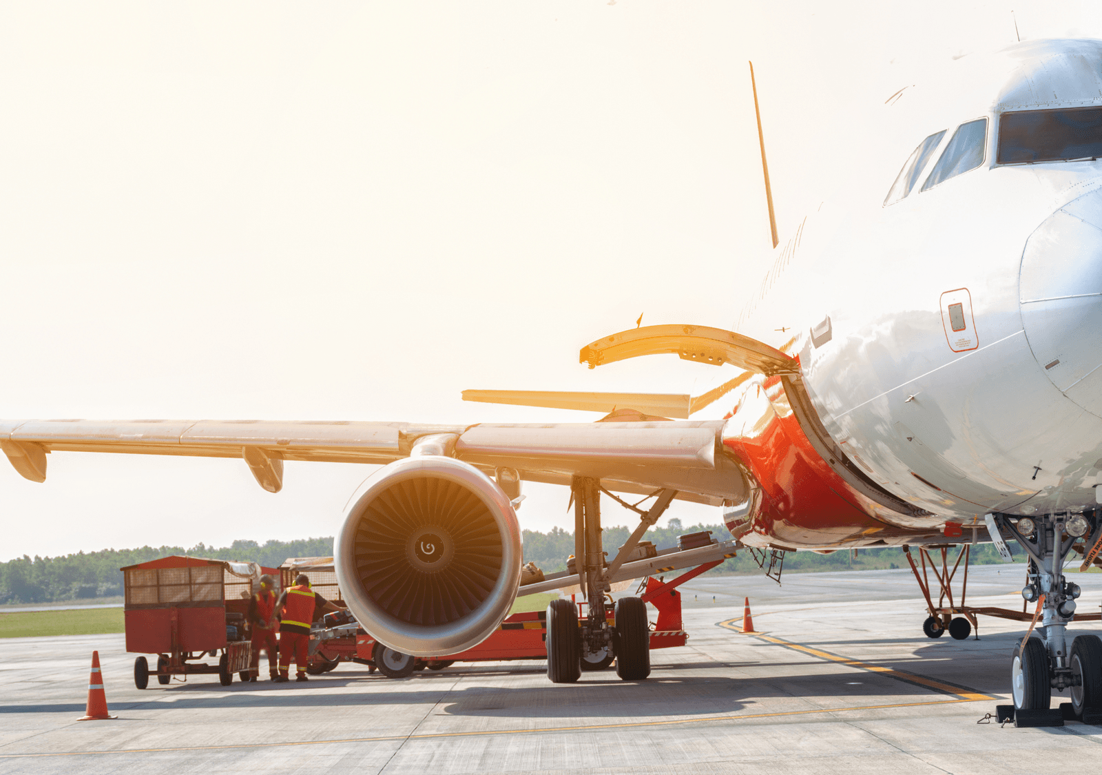 Hoopo Asset Intelligence