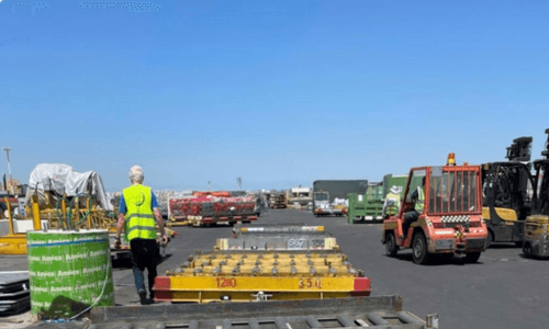 Hoopo Asset Intelligence