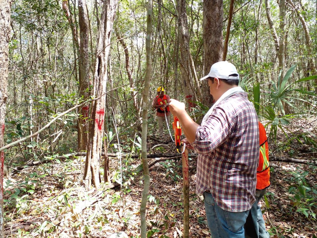 Cómo Trabajamos | Canopia Carbon