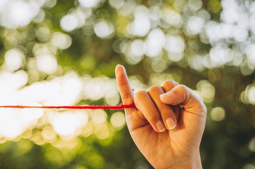 How to treat Red Thread in lawns