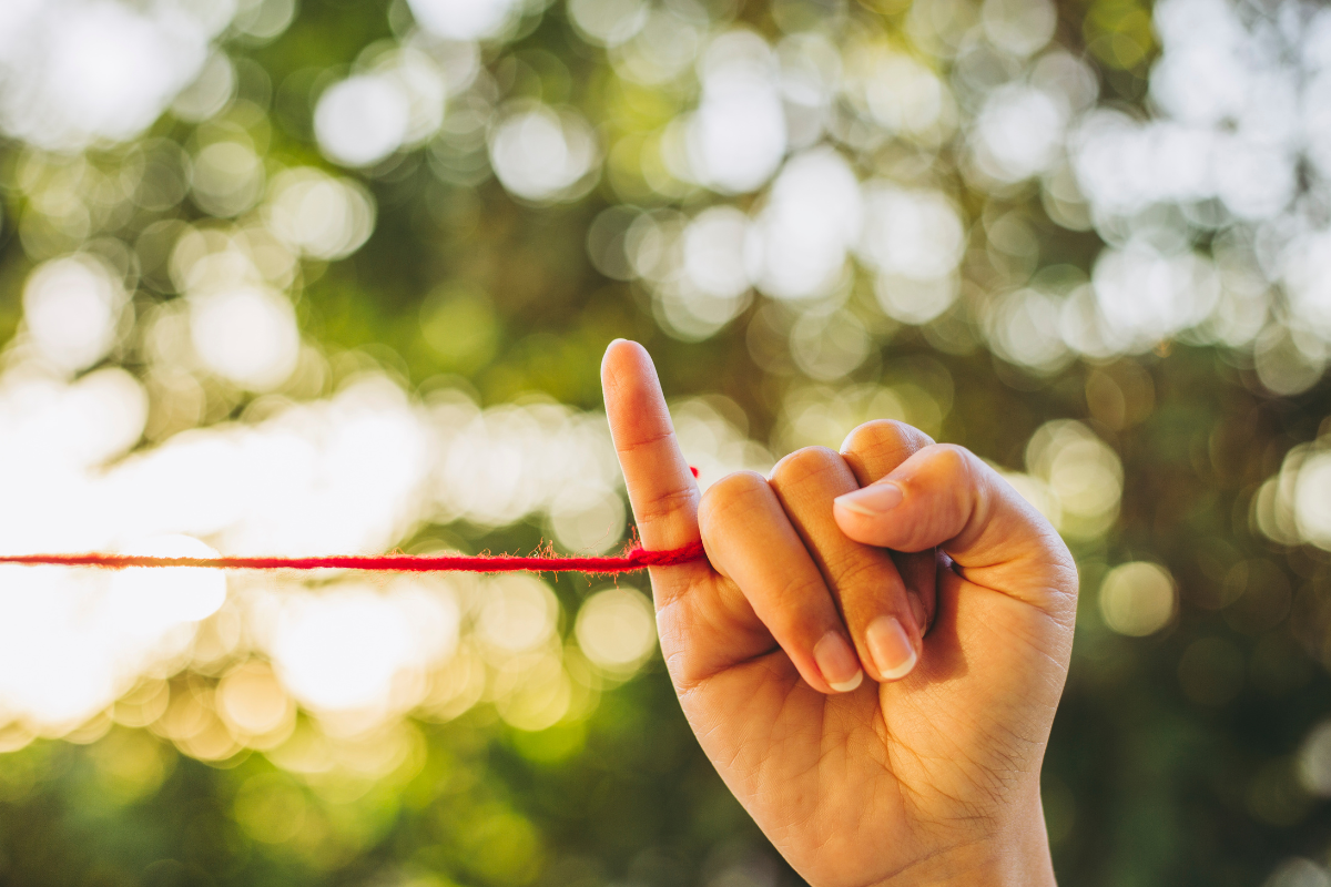 How to treat Red Thread in lawns