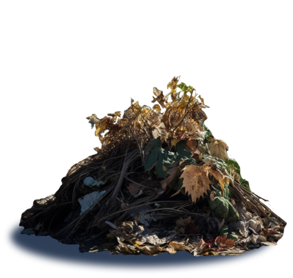 Daniel's Dumping and Hauling | Albuquerque, NM