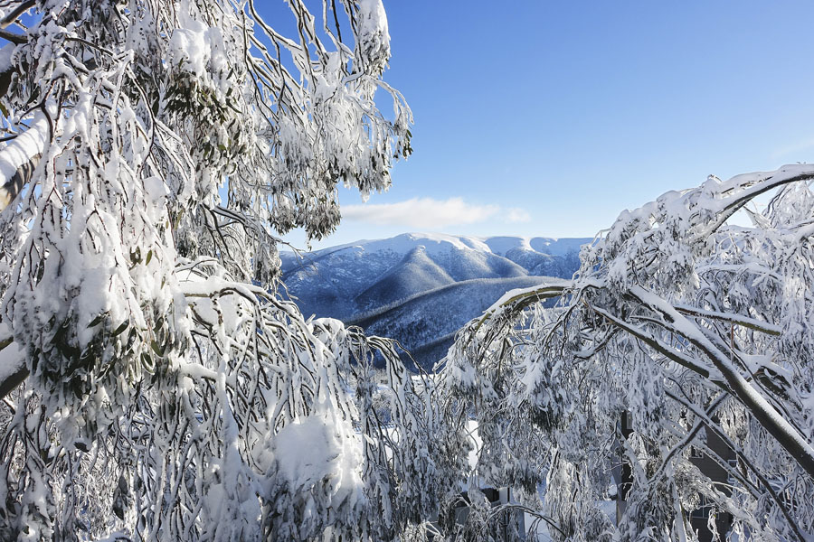Discover Alpine Cuisine | Mogul Ski Club