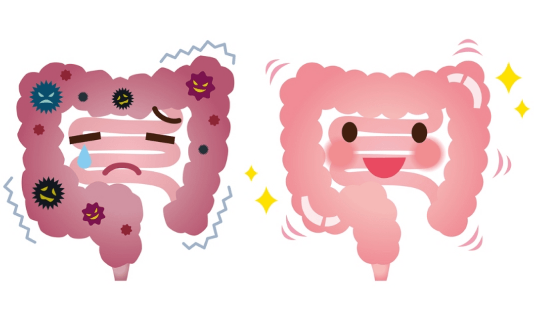 What is a Fecal Transplant and How Does It Work? | Designer Shit ...