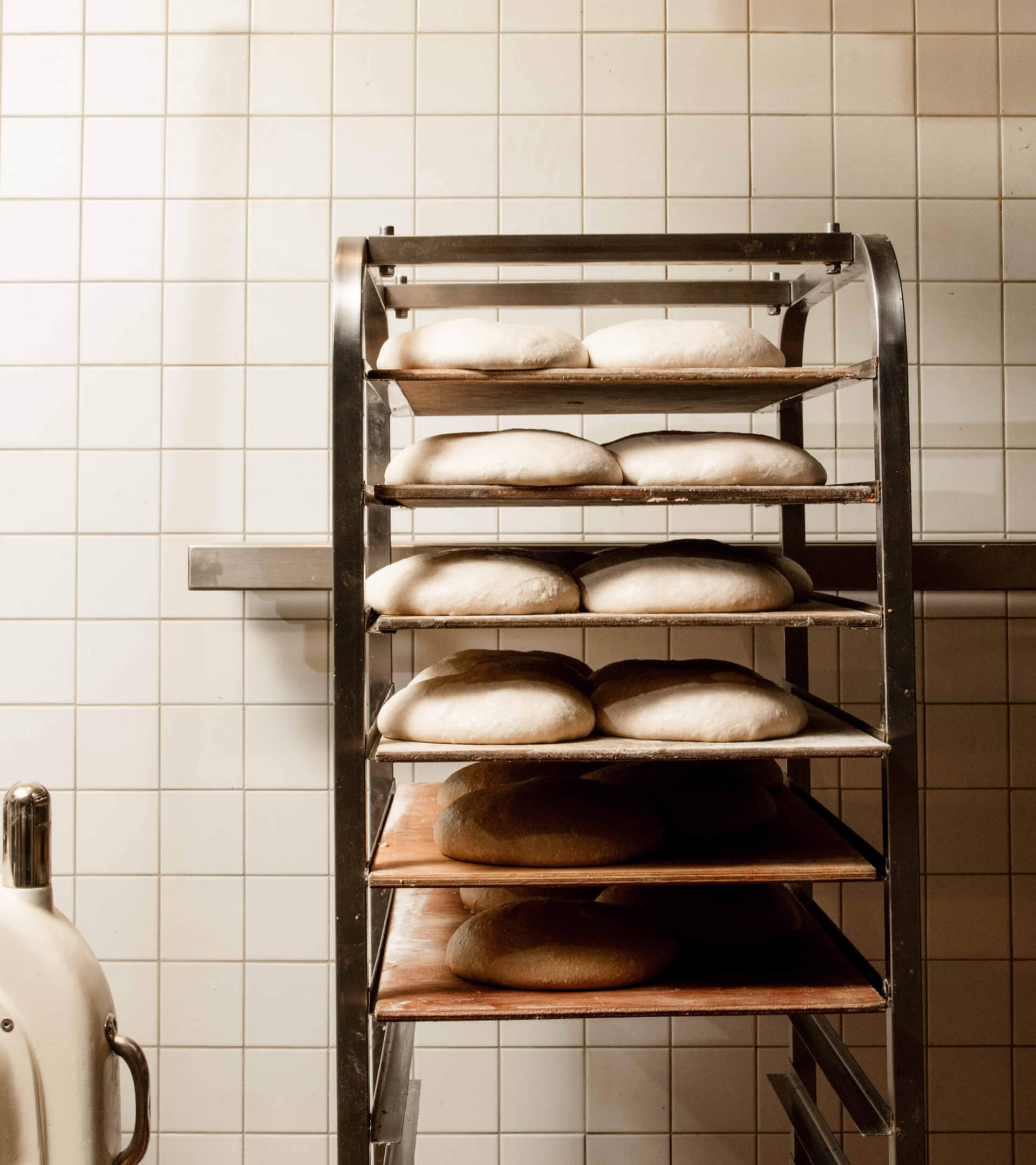 All Purpose Bakery