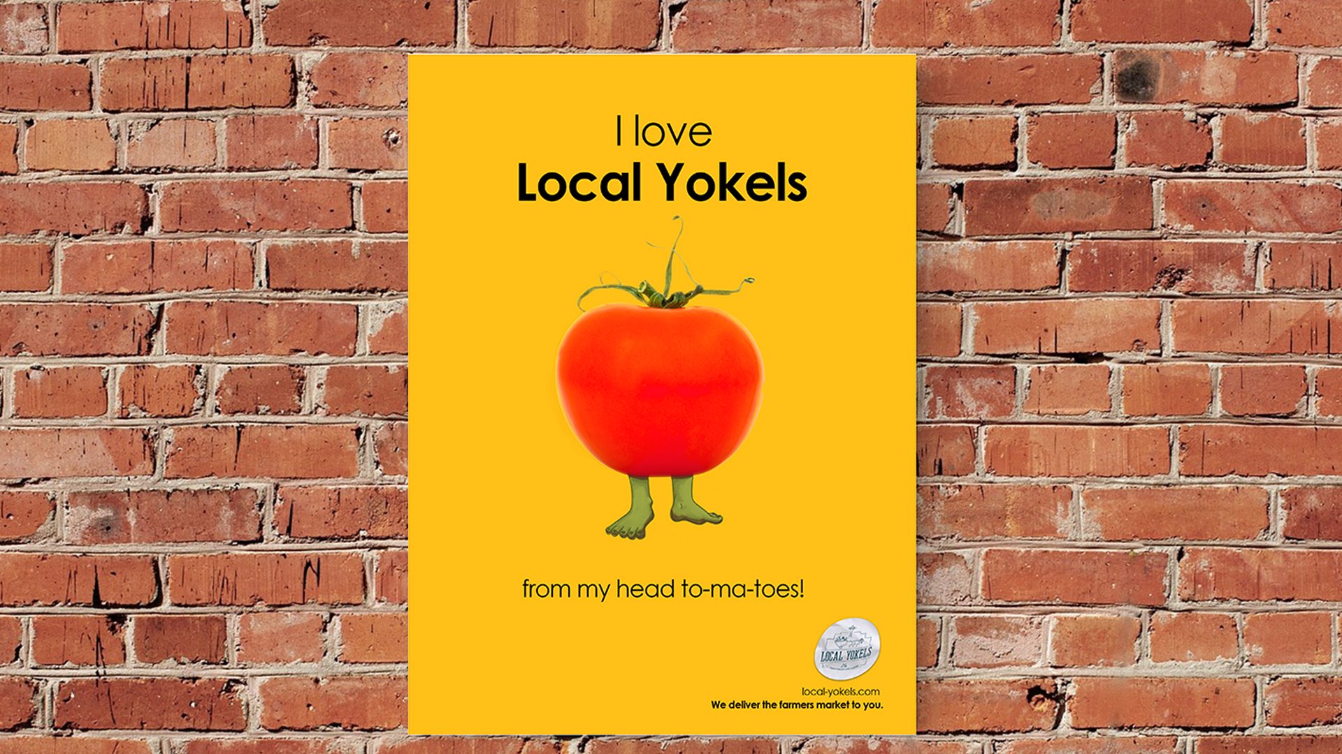 Local Yokels by Teri Mitchell — Graphic Design