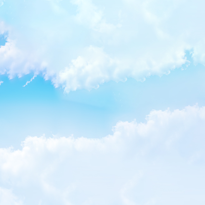 Vũ's Workspace - Webflow