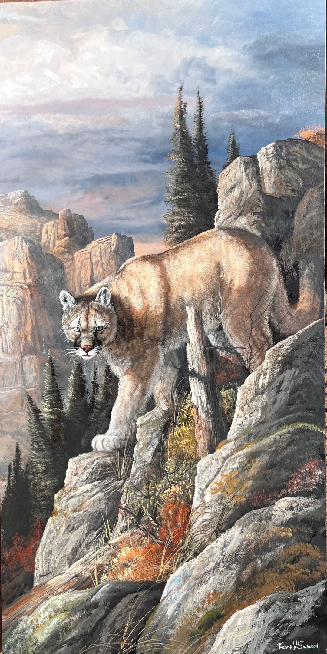 Trevor V. Swanson | Recent Gallery