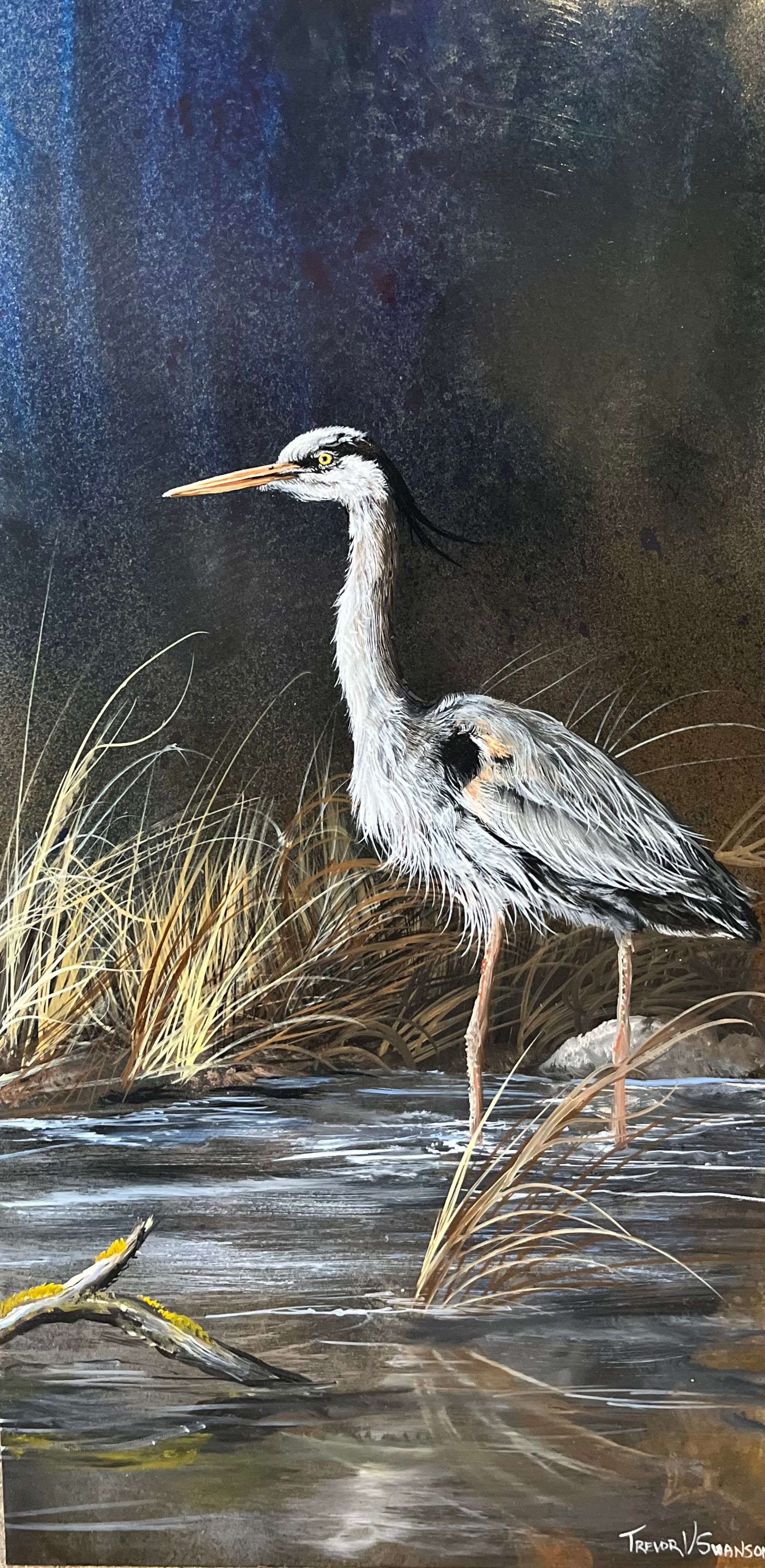 Trevor V. Swanson | Recent Gallery