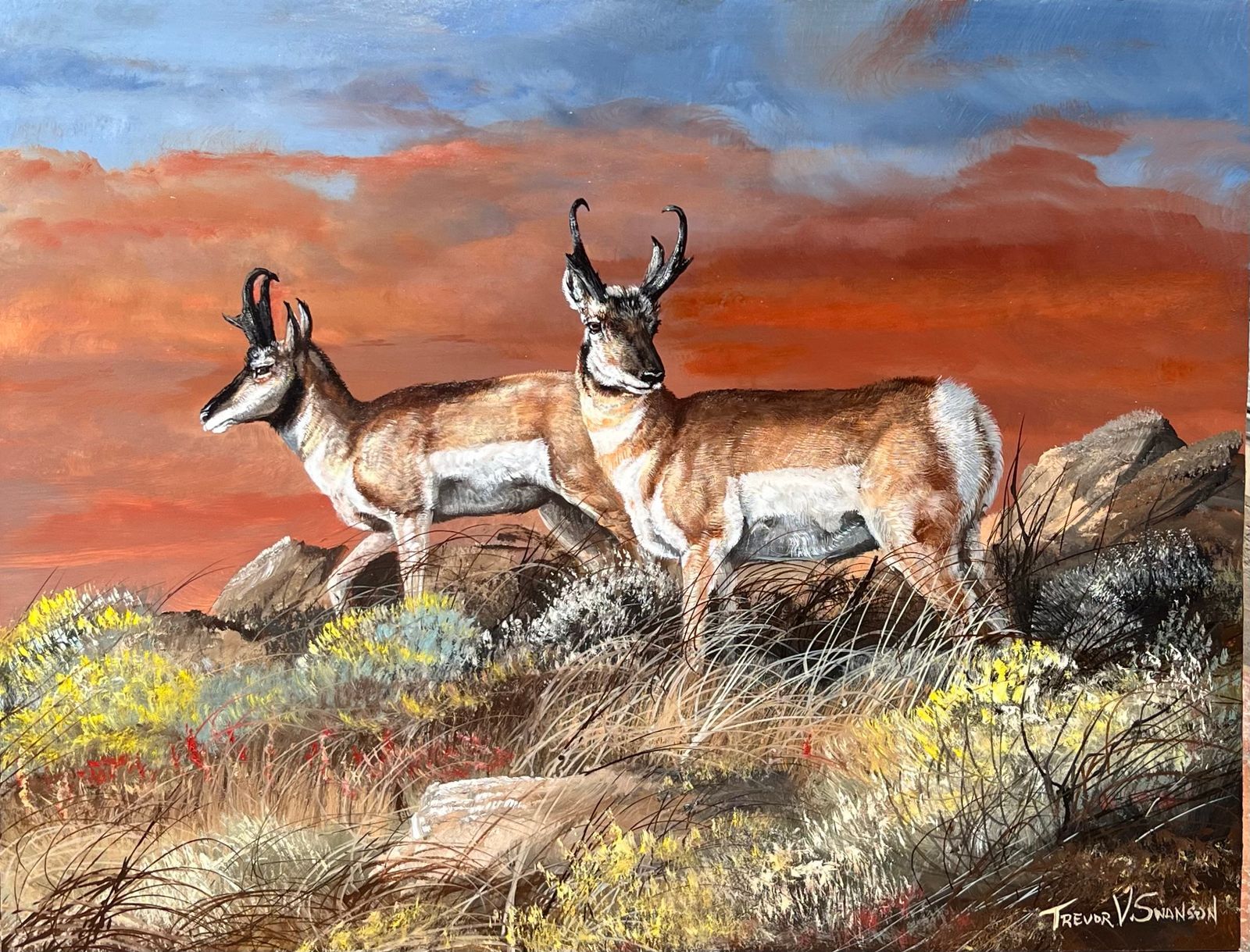 Trevor V. Swanson | Recent Gallery