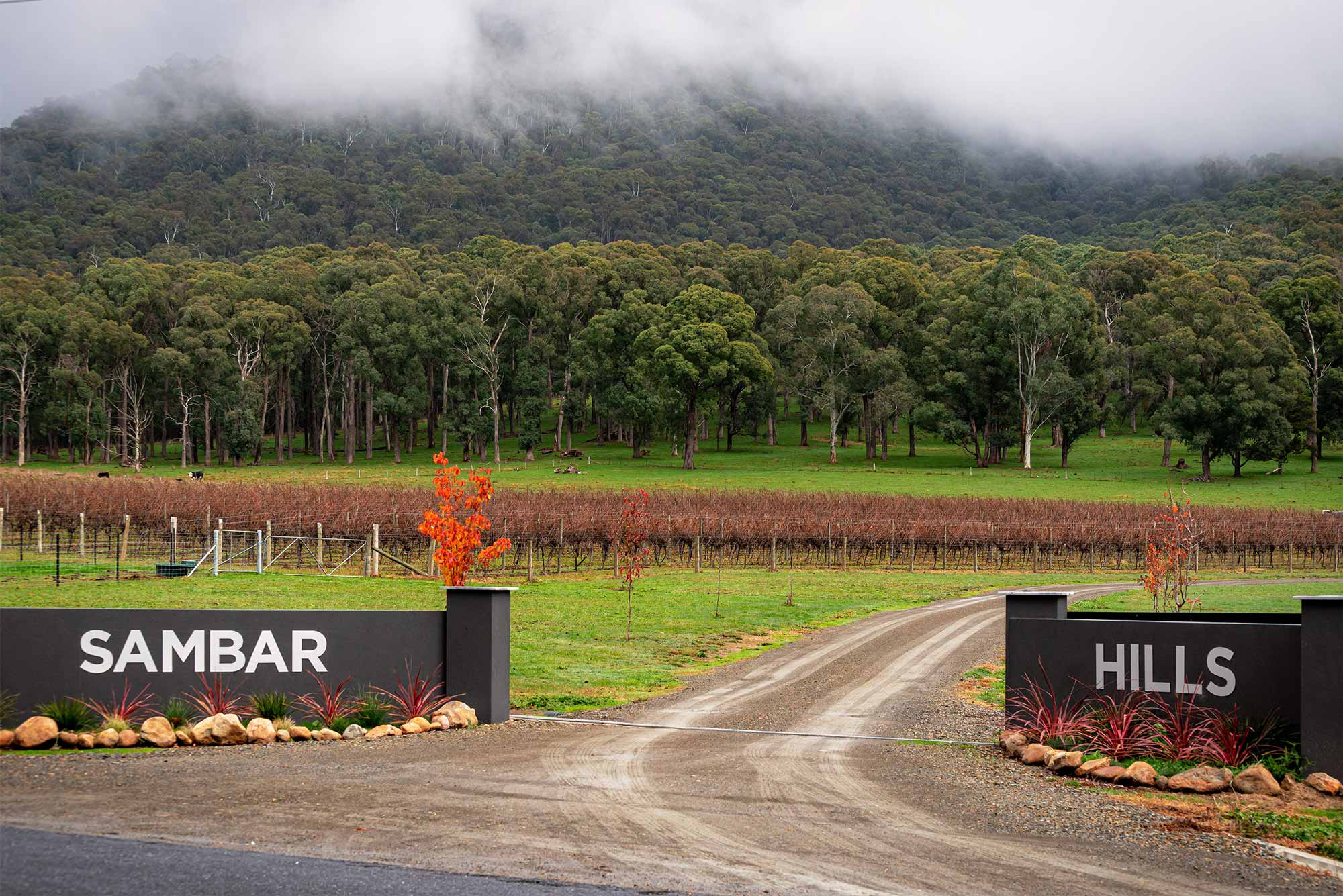 About Us - Sambar Hills - Visit the King Valley in style