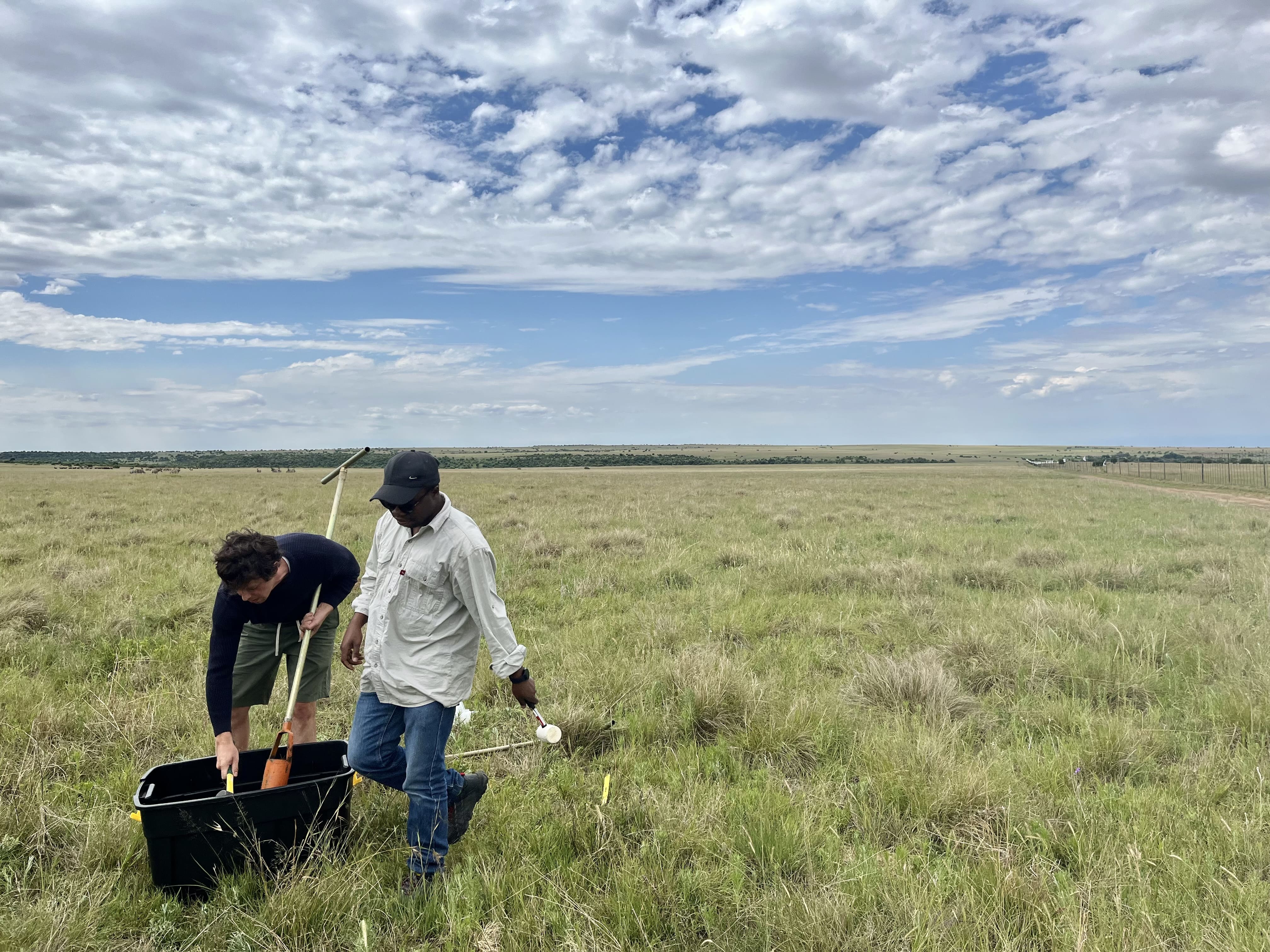 About Rewild Capital | Carbon Sequestering & Biodiversity Projects in ...