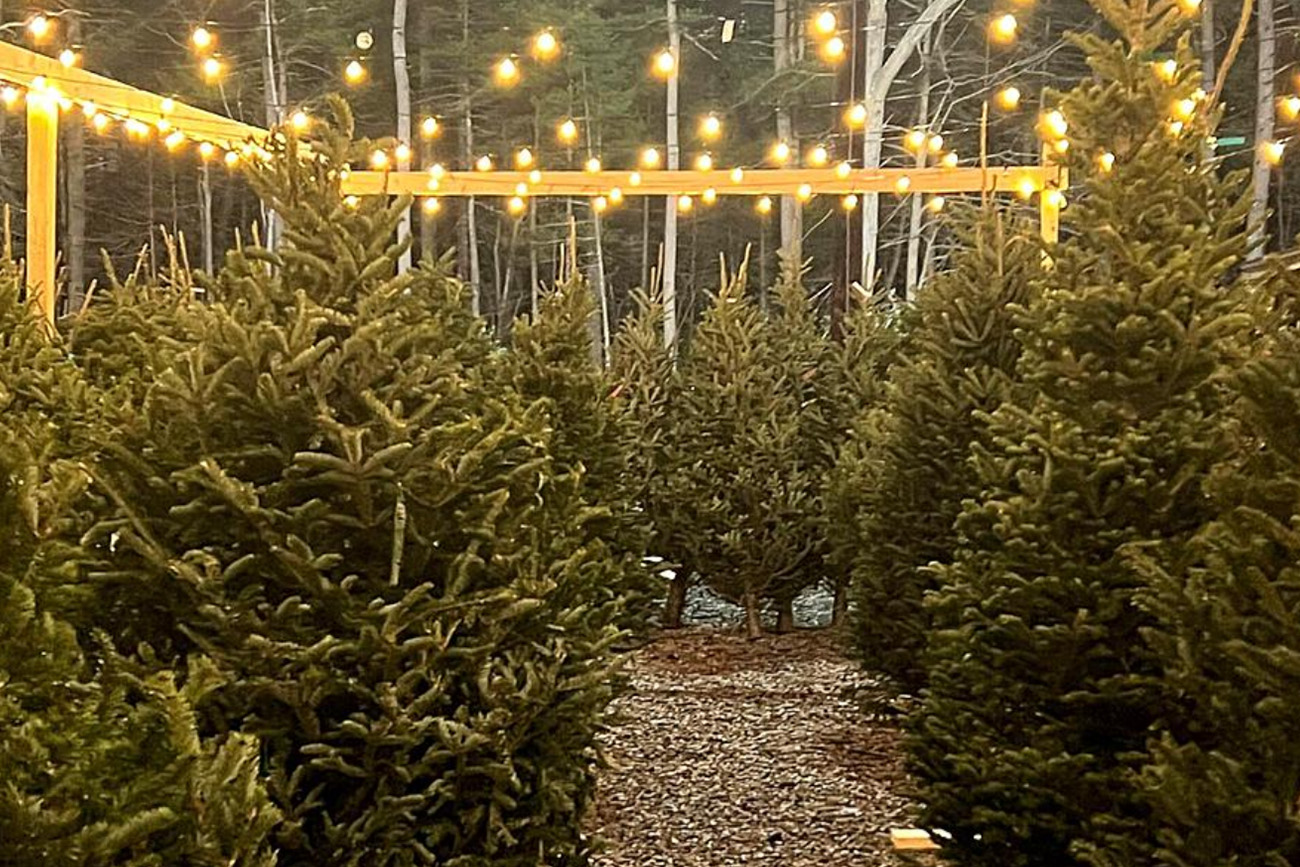 Deep Pond Farm | Our Story