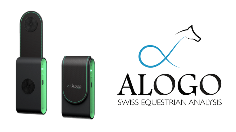 Arcton crowdinvesting