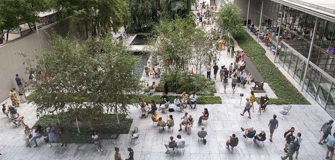 MoMA: Inspiration Around Every Corner