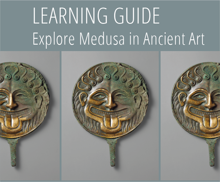 Learning Guides