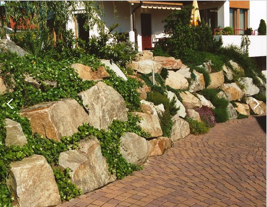 Gartenbau Lindenmann - Startseite