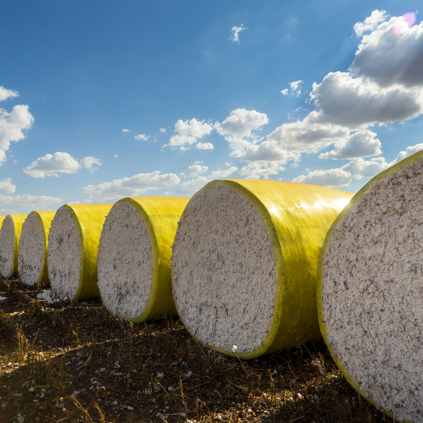 Home | Sierra Textile Raw Materials