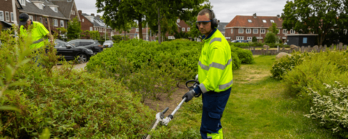 In het groen - Kom jij ook werken bij Dar?