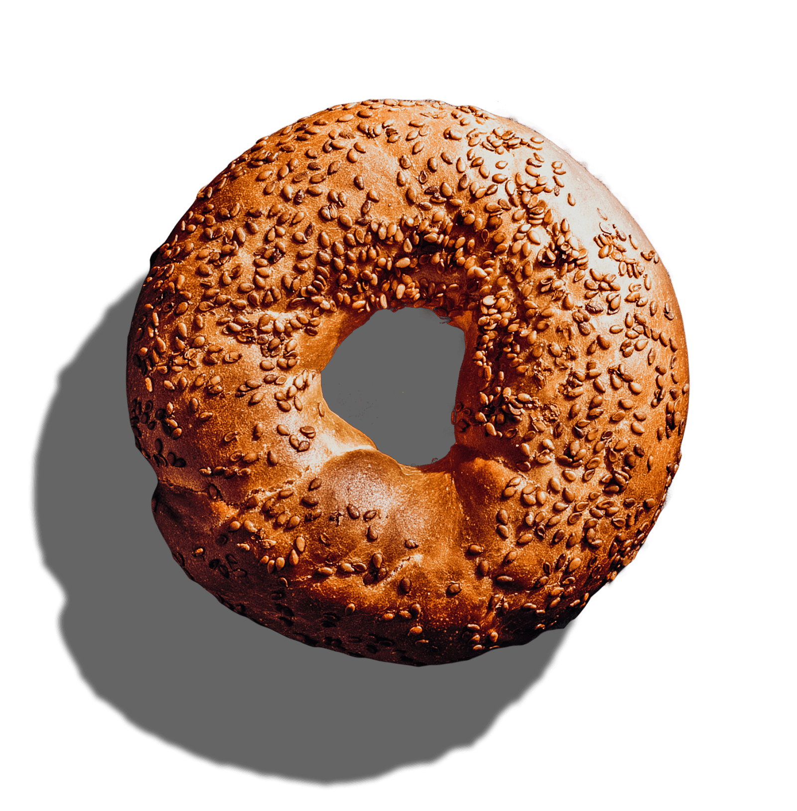 Bobino Bagel | Ouverture Automne 2023 - Opening autumn 2023