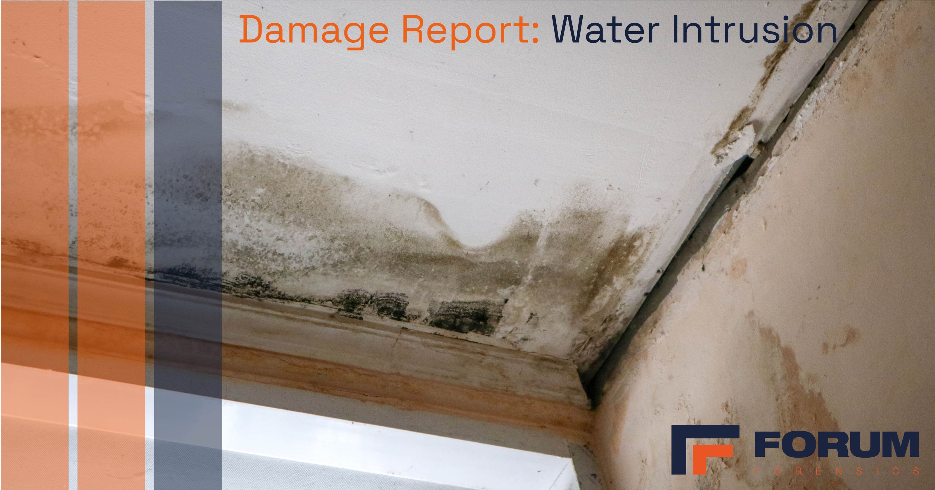 FORUM FORENSICS- Damage Report: Water Intrusion