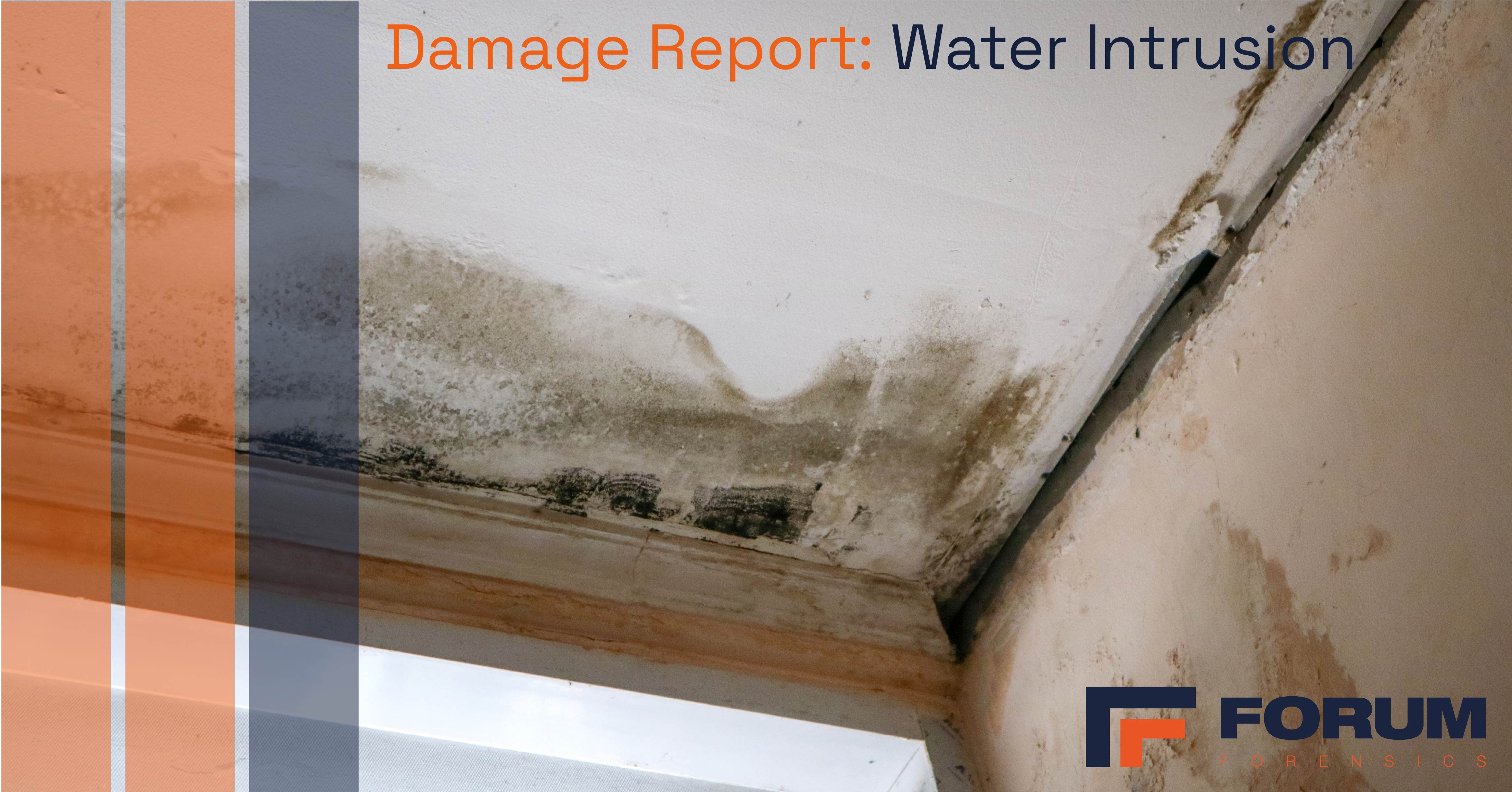 FORUM FORENSICS- Damage Report: Water Intrusion
