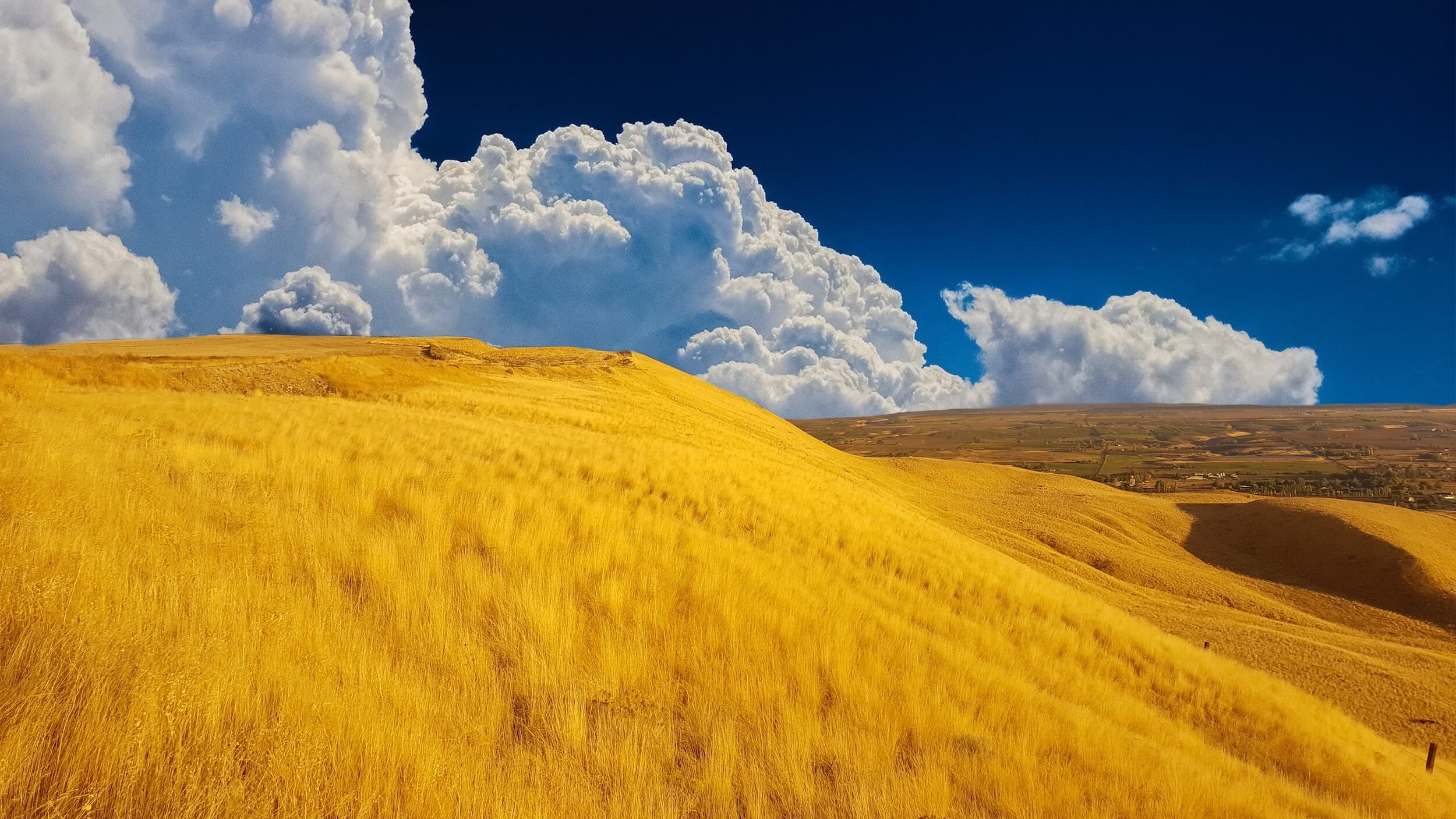 About | Net-Zero Northwest