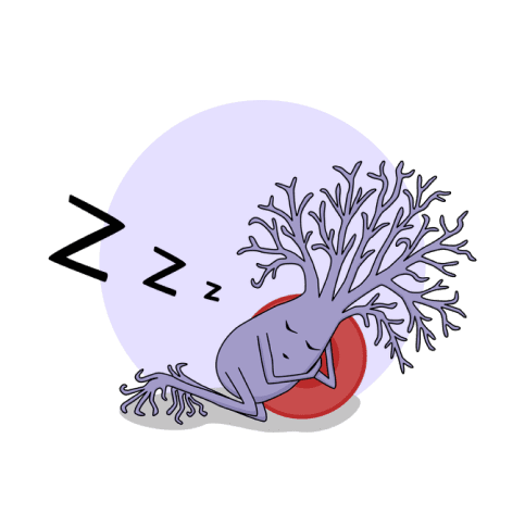 The Brain Colouring Book