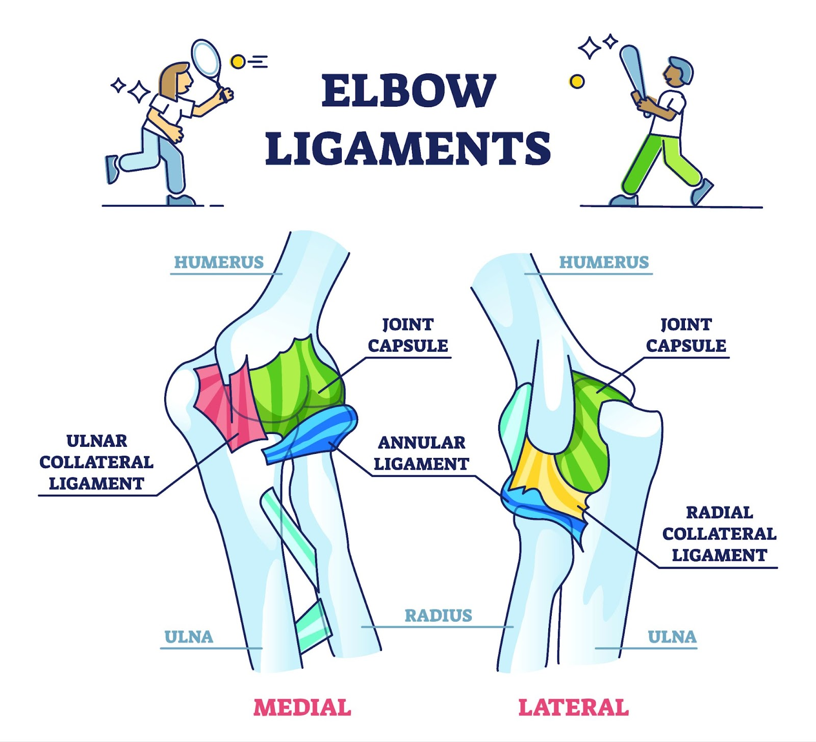 Elbow Ligament Injury