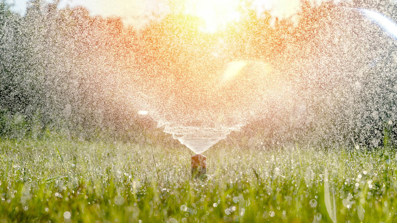 How to Use Your Sprinkler System Wisely | Gexa Energy