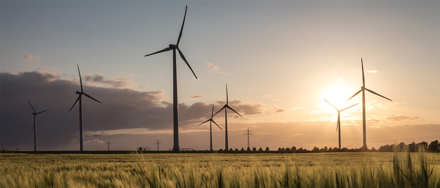 Types of Renewable Energy Sources | Gexa Energy