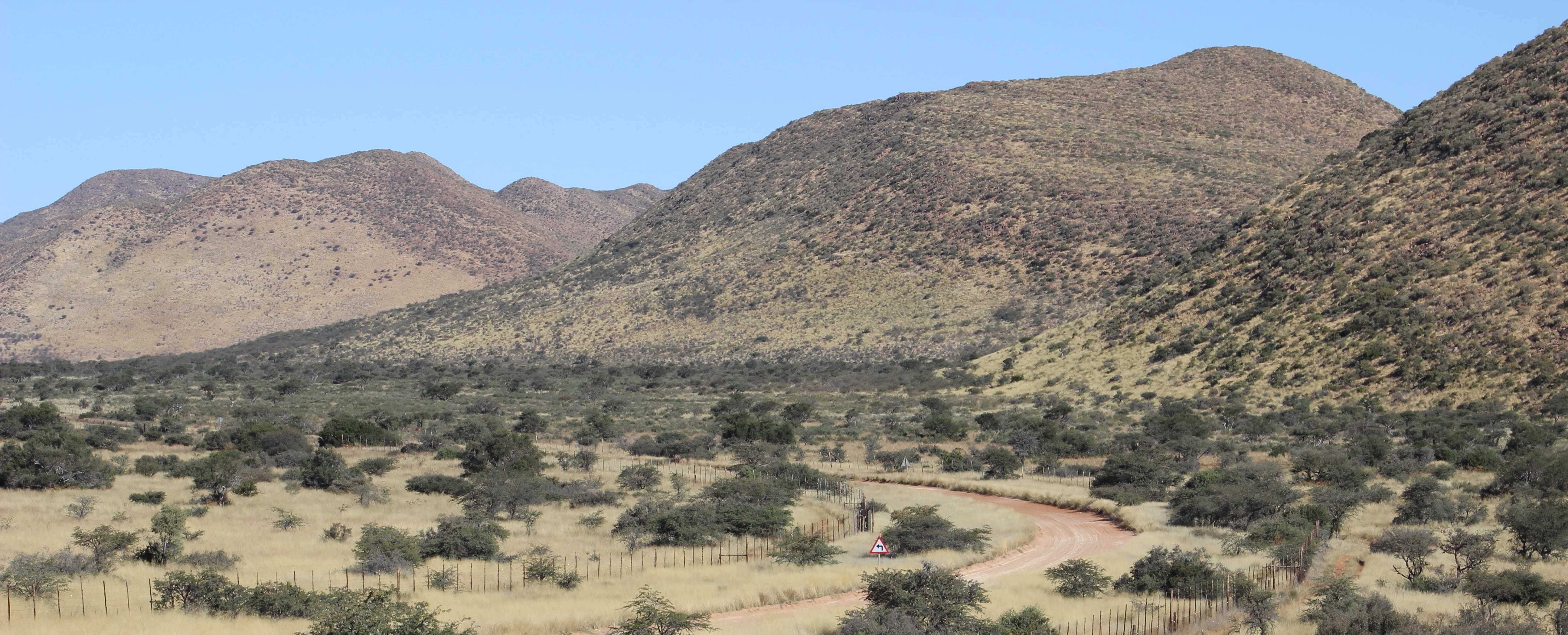 Projects | Rewild Capital's Carbon-Biodiversity Initiatives in African ...