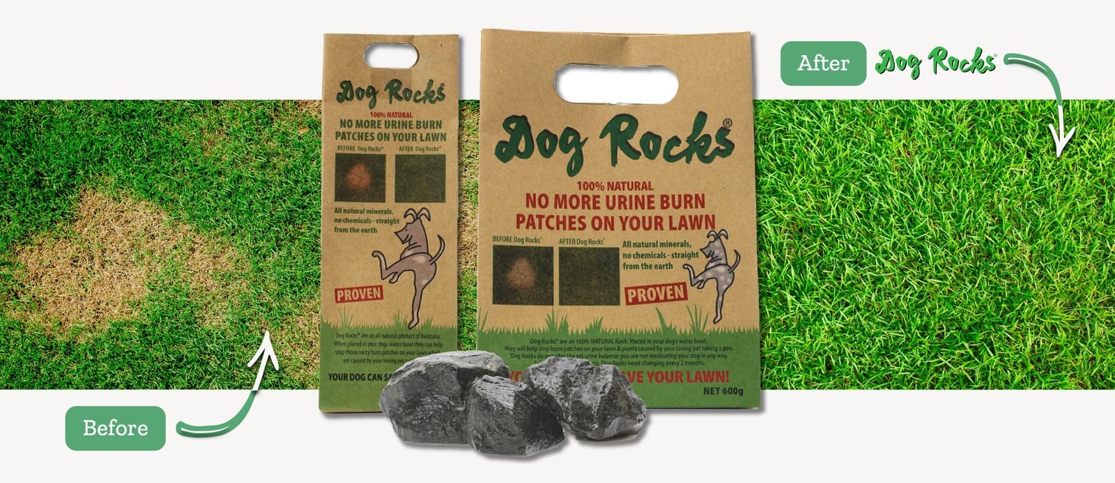 Dog Rocks - Homepage