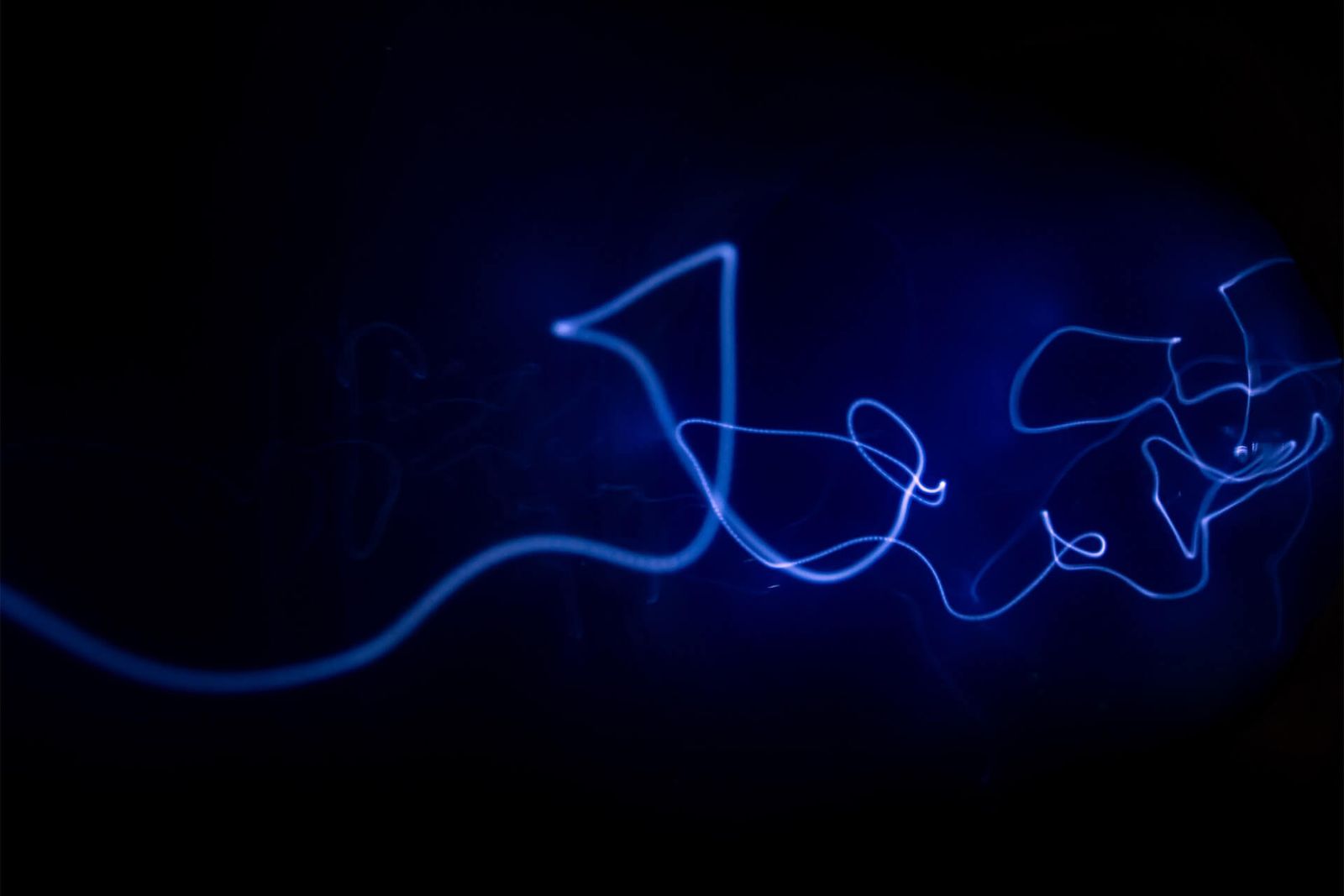 Tilted Light Sheet with DHO PSF Engineering for 3D Whole Cell and Sub ...