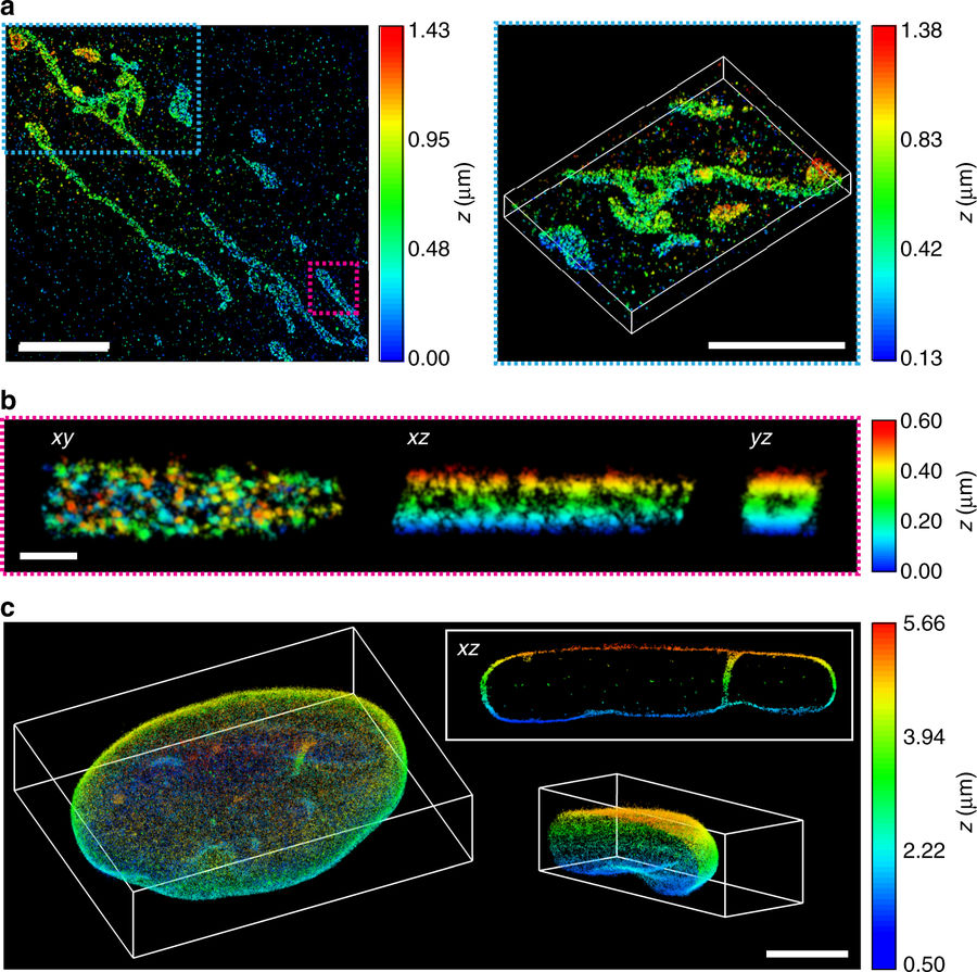 Tilted Light Sheet with DHO PSF Engineering for 3D Whole Cell and Sub ...