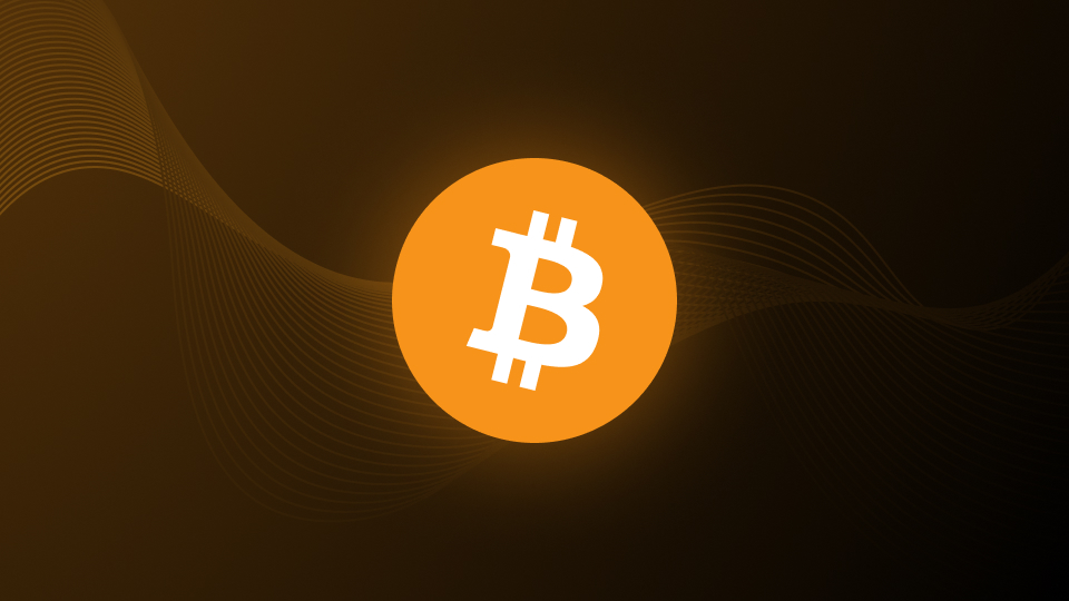 What Does the Bitcoin DeFi Ecosystem Look Like?