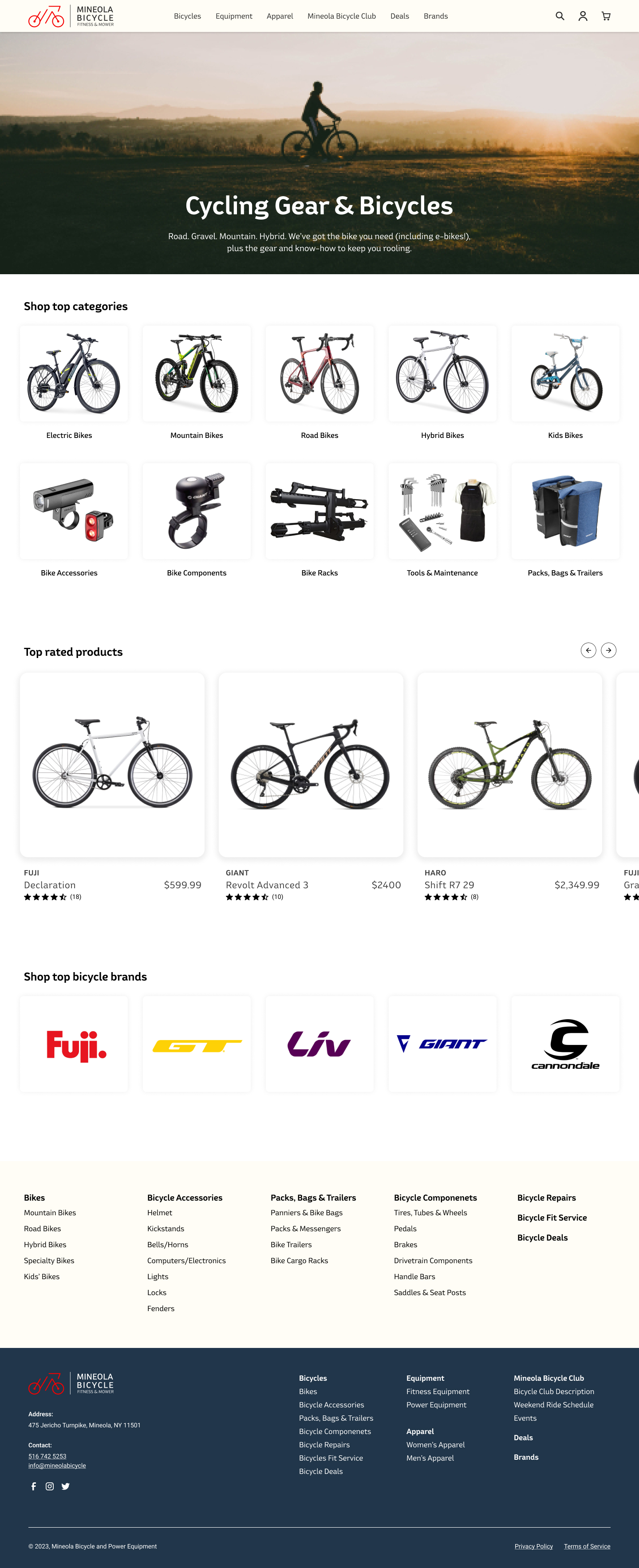 Mineola Bicycle Case Study