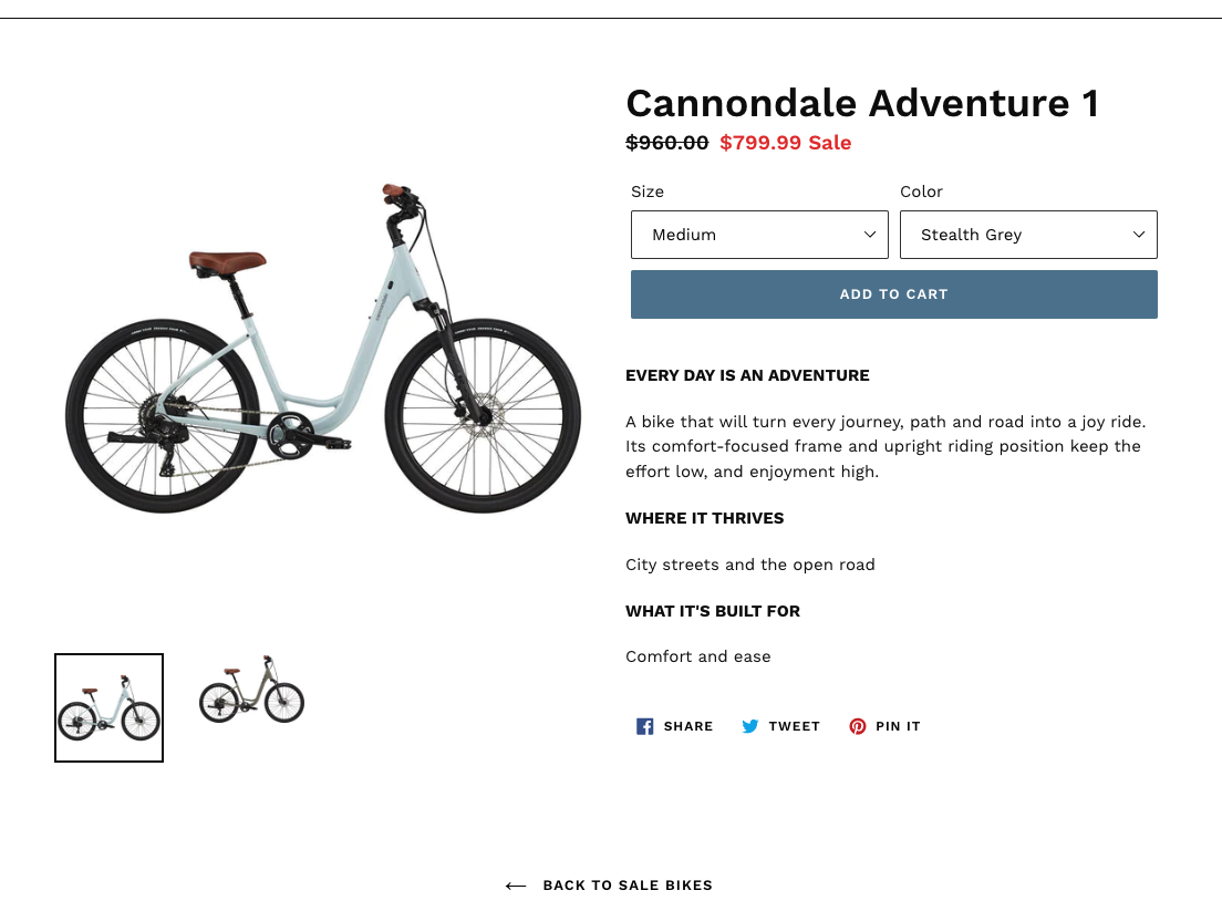 Mineola Bicycle Case Study