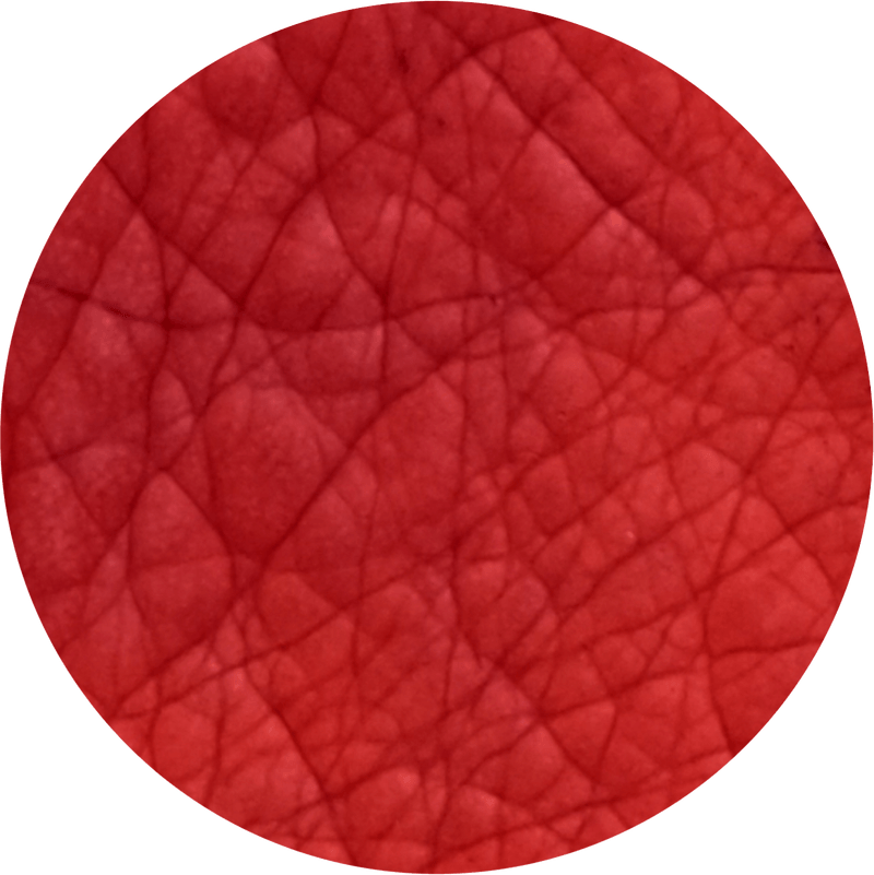 Faircraft - Real leather, grown in a lab