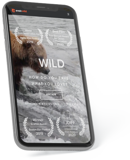 Evas Wild Case Study - Action Digital, a Digital Product Agency
