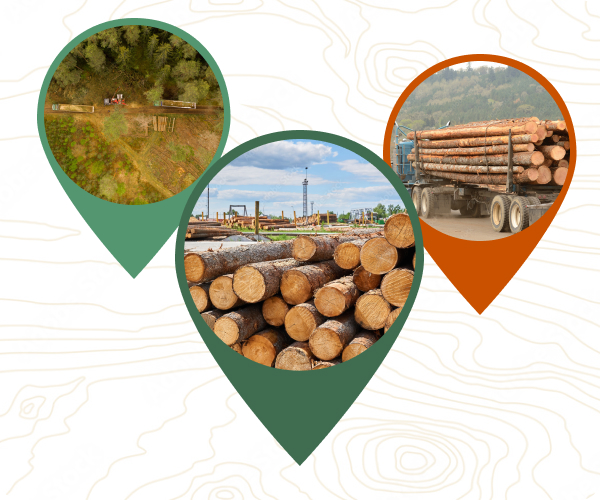 Wood Inventory Management :: Timbersoft