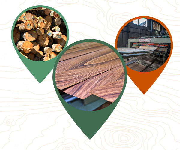 Veneer Inventory Management :: Timbersoft