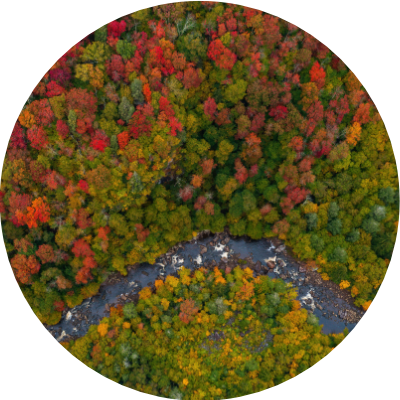 Inventory Management for Wood Industries :: Timbersoft