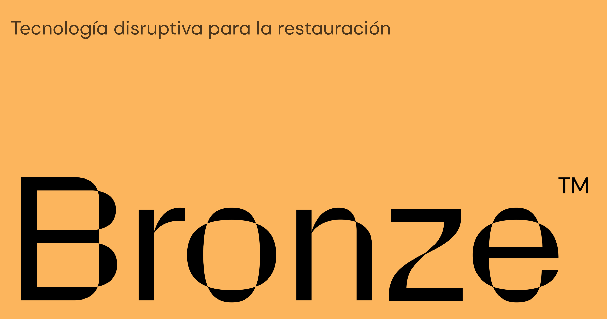 About Us - Bronze.vision