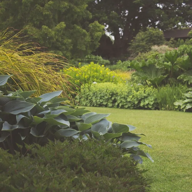Gartenbau NIGGEMEIER aus Paderborn